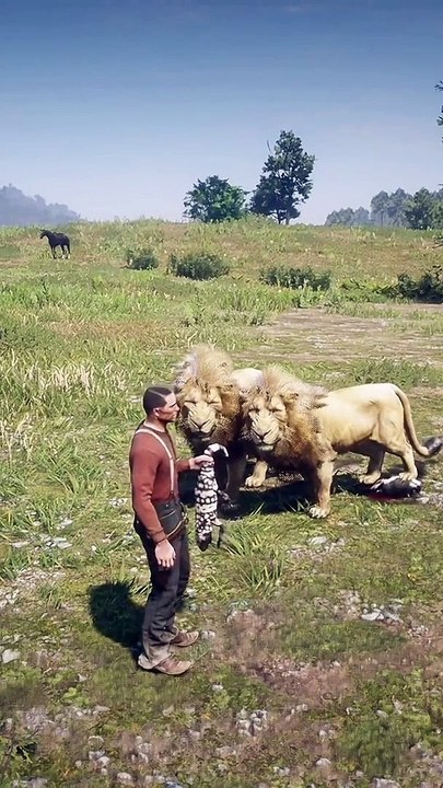 RDR2 | Red dead Redemption lion fight | Wild attack - video Dailymotion