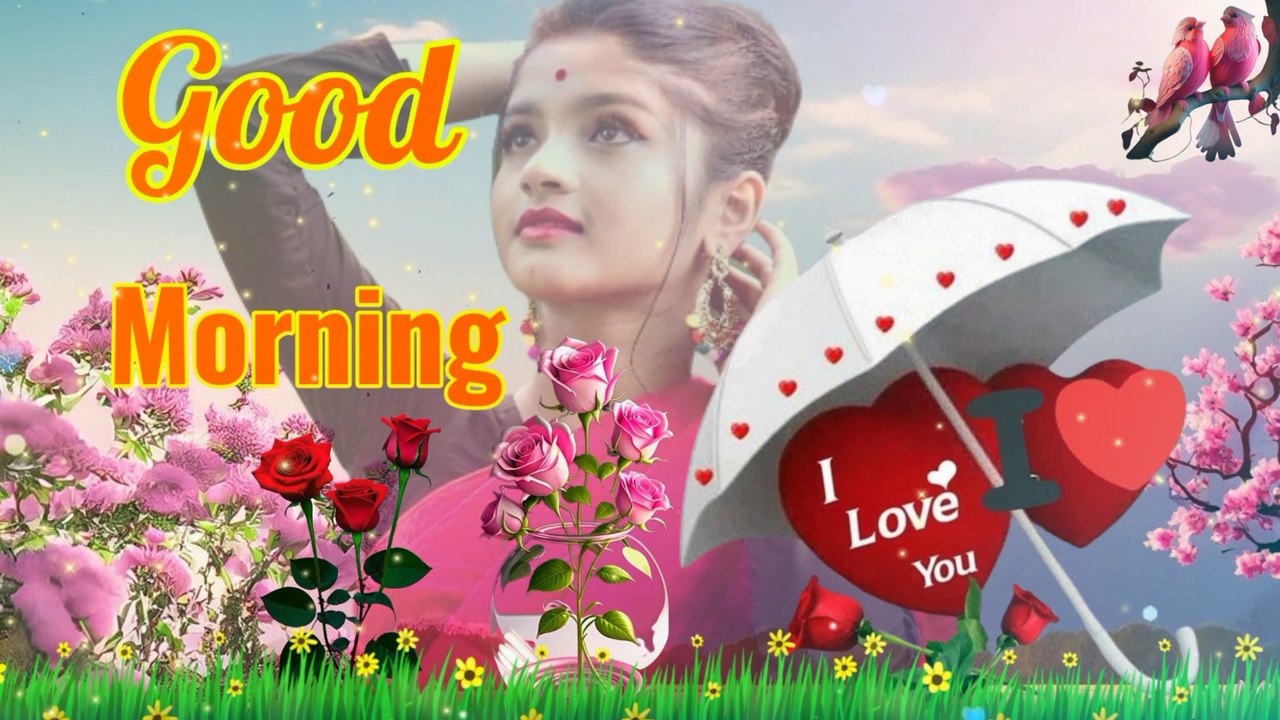 Good morning status, good morning shayari, good morning video - video ...