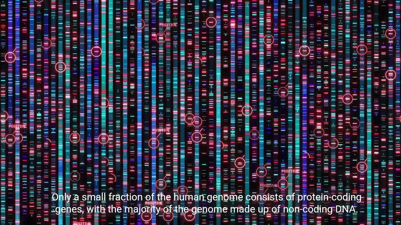 Decoding the Human Genome - Unraveling the Blueprint of Life - video ...