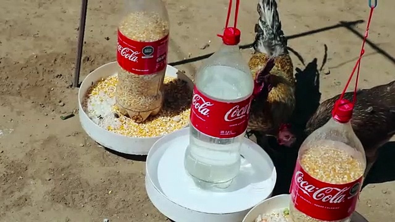 How to make a drinker and feeder for chickens with recycled coke ...