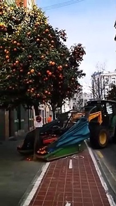 Innovative way to Pluck Fruits Together #shorts #viral #shortsvideo # ...