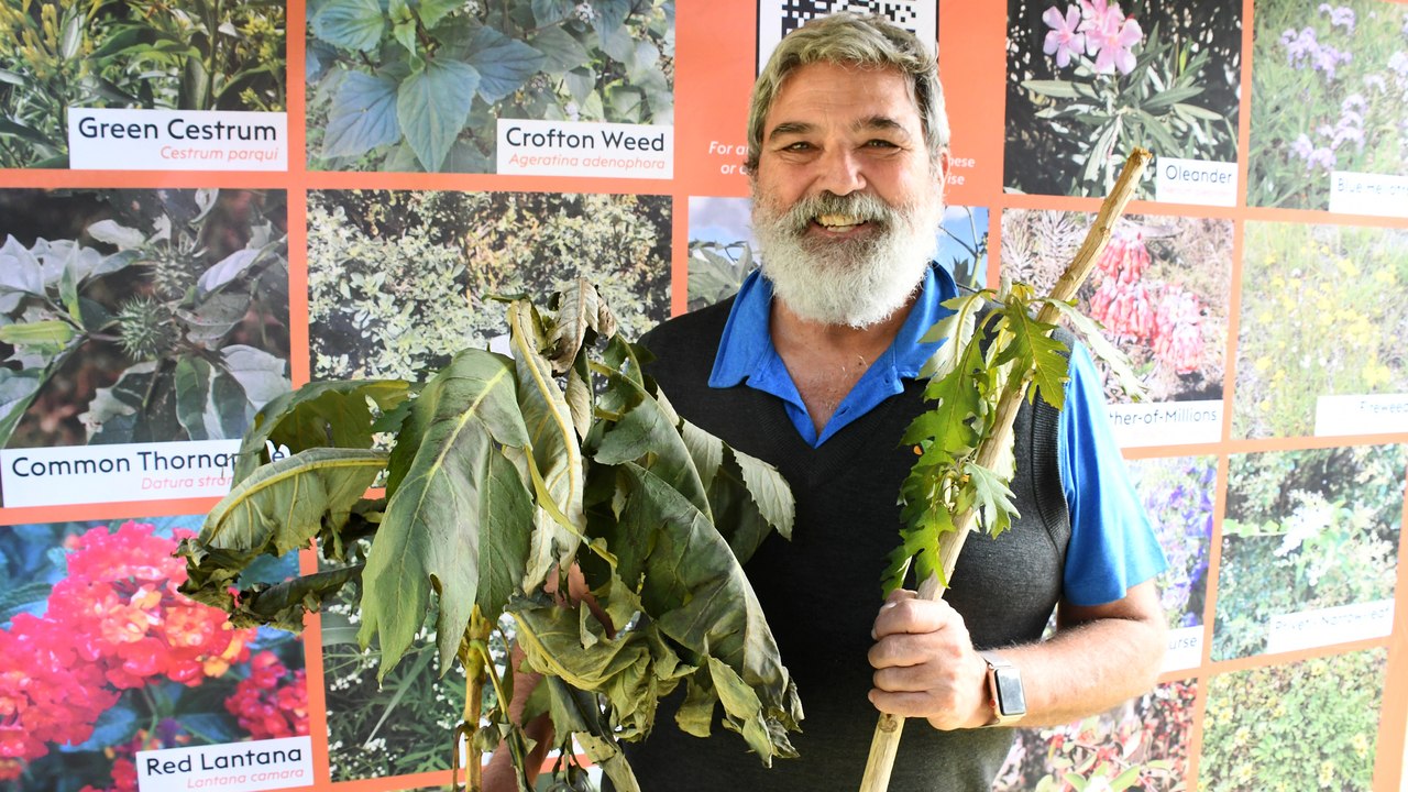 Terry Inkson Mid Coast Council Strategic Weeds Biosecurity Officer ...