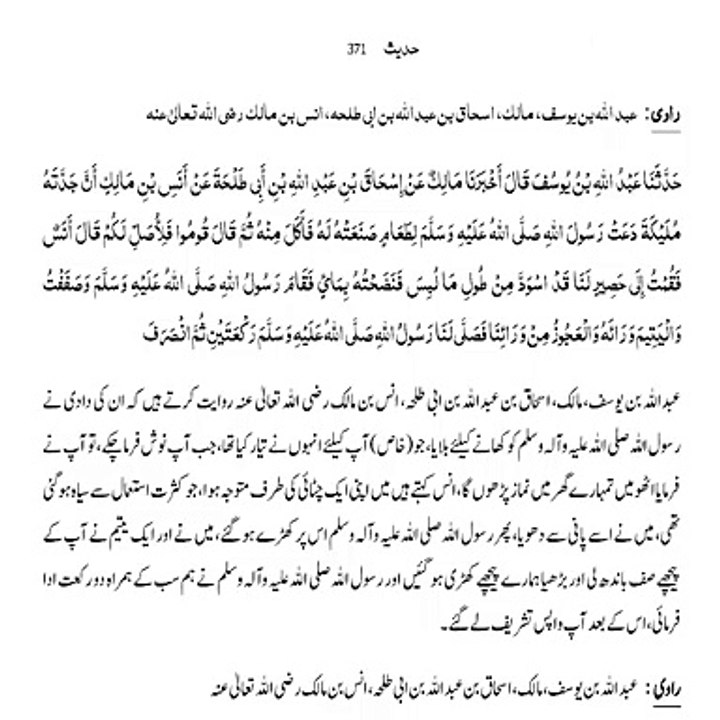 Sahih Bukhari Hadith (Hadees Sahih Bukhari 371) #bayan #hadees #hadith ...