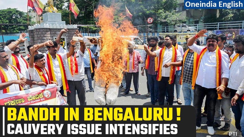 Is There A Bandh In Bengaluru Today? Confusion Prevails As Kannada ...