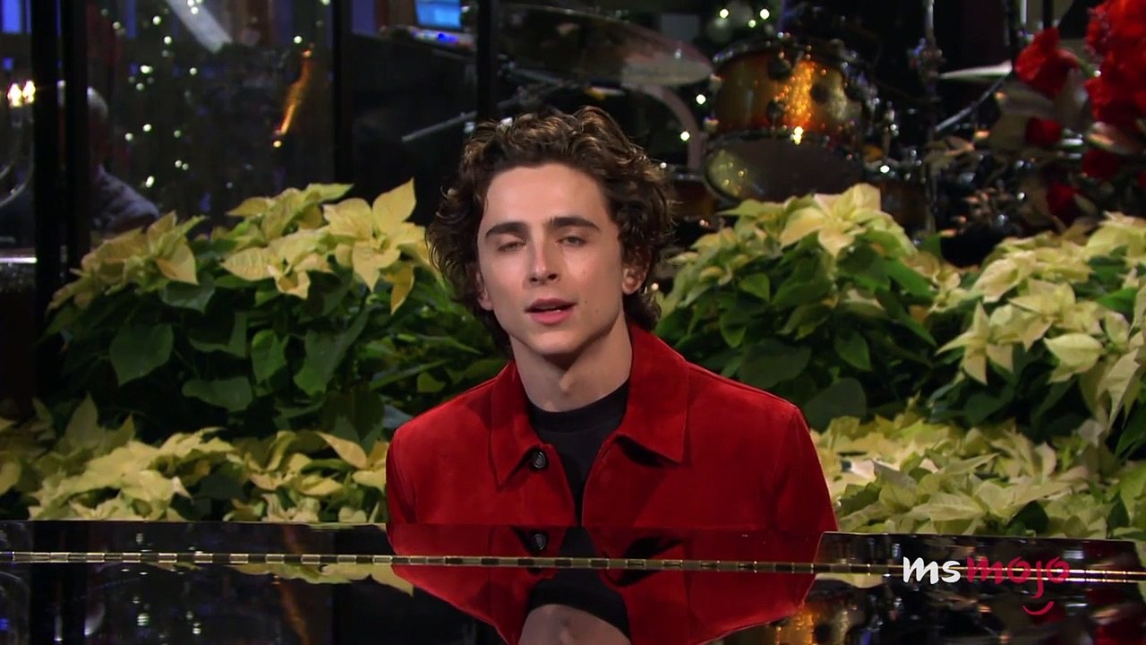 Top 10 Timothée Chalamet Facts You Didn't Know - video Dailymotion