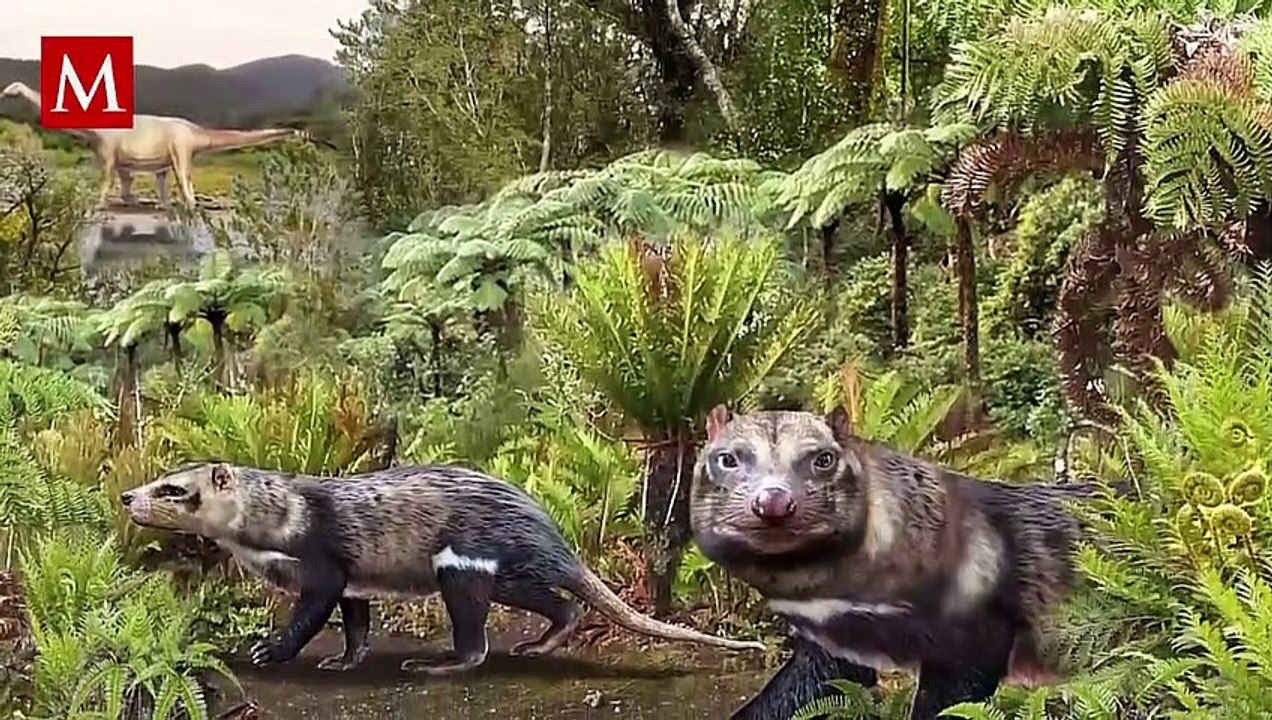 Megamonodontium mccluskyi: La impresionante arácnida del pasado ...