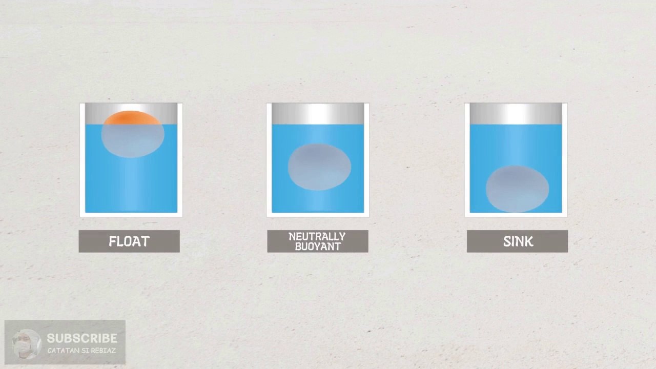 The Float, Neutrally Buoyant, and Sink | Fluid Statics | 11th Class ...