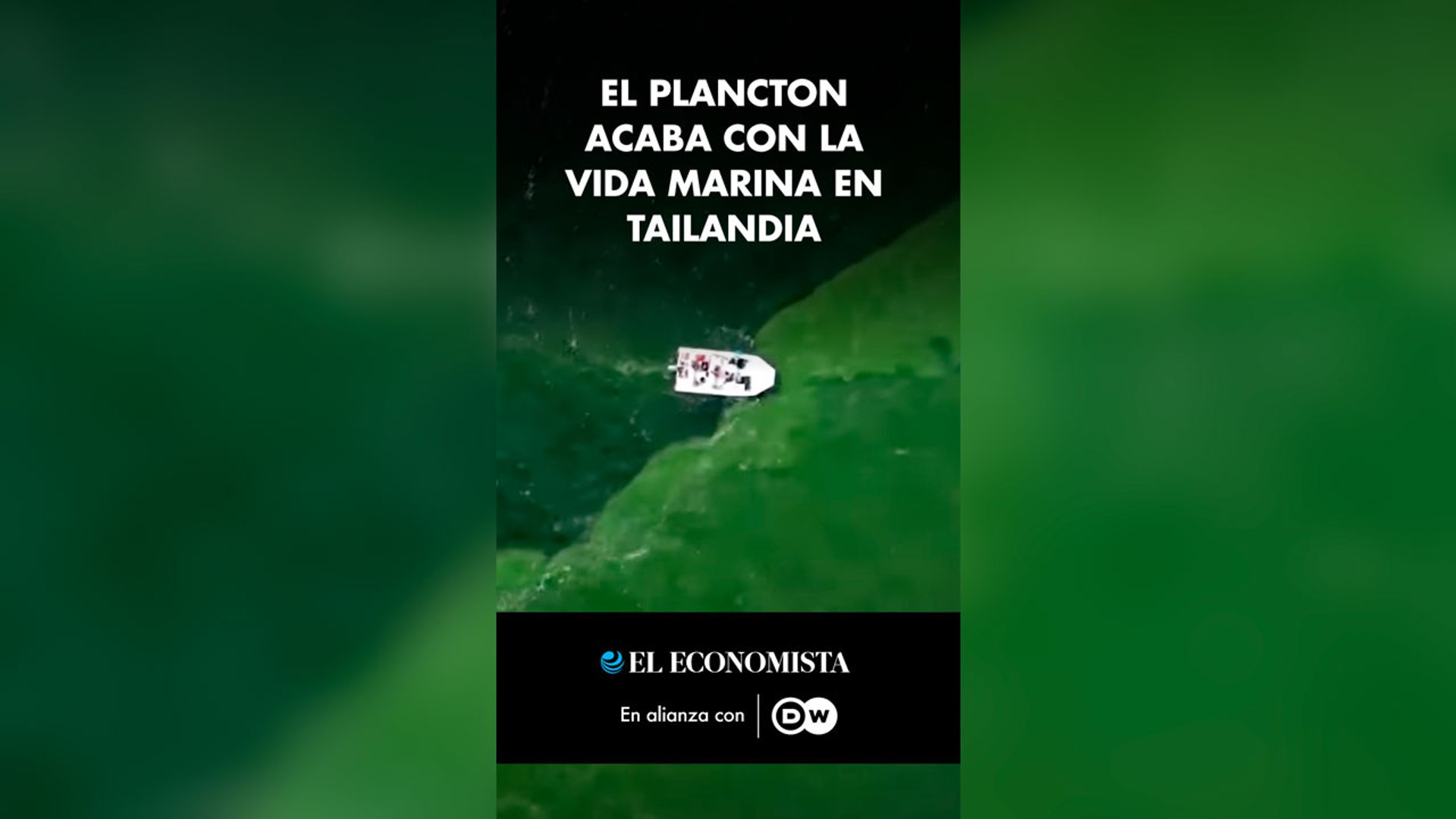 El Plancton En La Vida Real El Plancton, Solución A Los Retos
