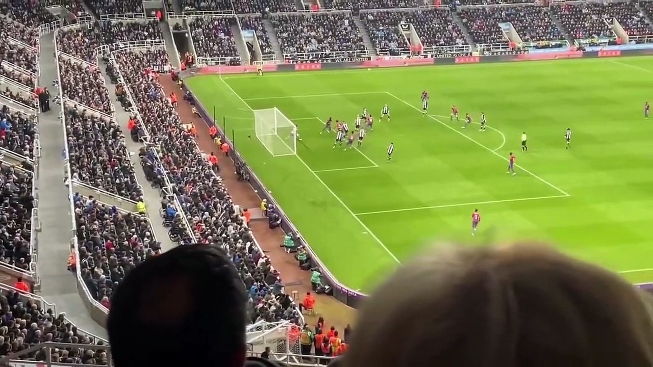 Newcastle United vs PSG 4 x 1 All Goals & Extended Highlights UEFA ...