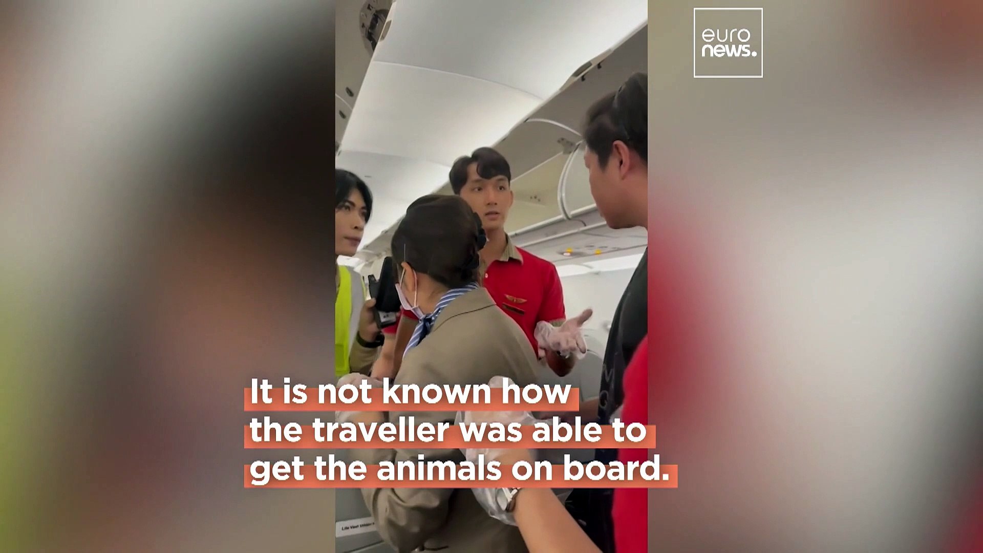 ‘There’s a rat on the plane’: Passengers shocked by suitcase of animals ...