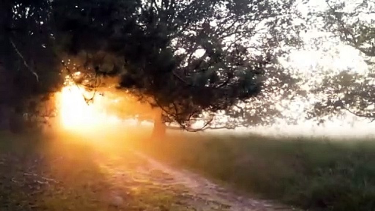The Breathtaking Beauty of Nature | Best Nature Video | 4K Nature ...