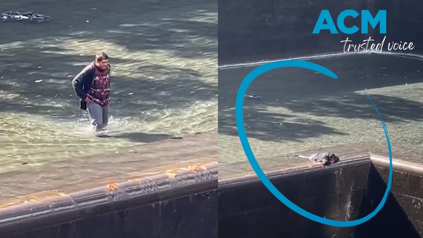 Man jumps into reflecting pool at 9/11 Memorial in New York City | The ...
