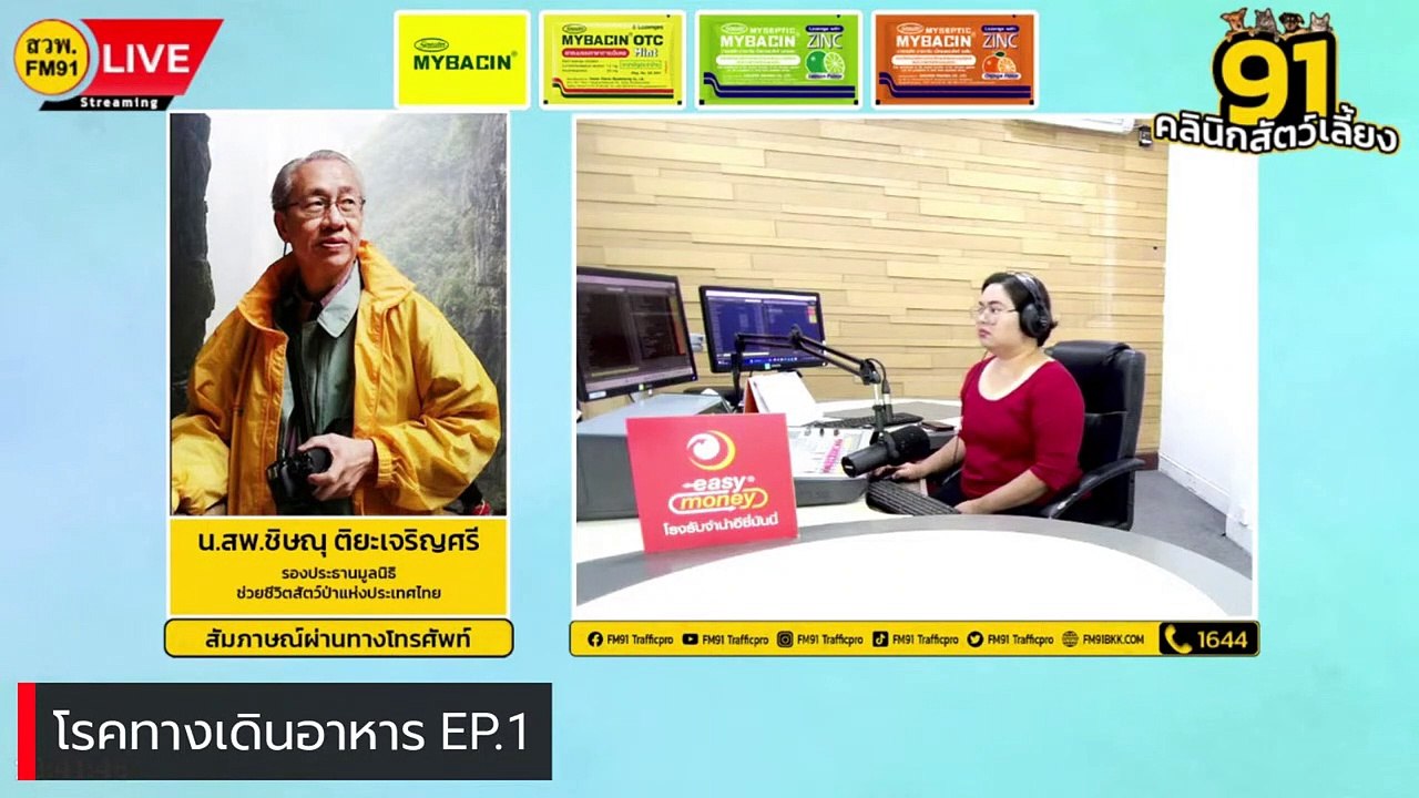 โรคทางเดินอาหาร EP.1 : FM91 คลินิกสัตว์เลี้ยง : 14 ตุลาคม 2566 - video Dailymotion