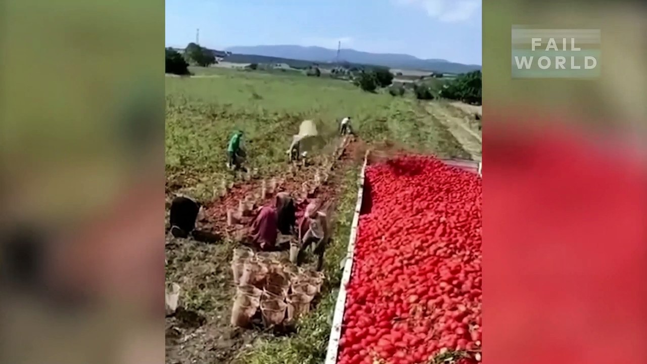 like a boss compilation amazing 12 minutes#7 - video Dailymotion