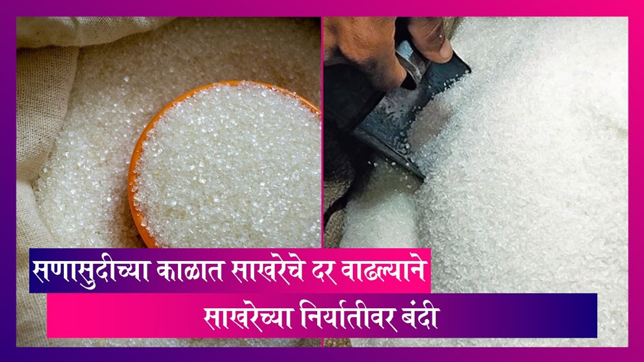 Sugar Export Ban: सणासुदीच्या काळात साखरेचे दर वाढल्याने साखरेच्या ...
