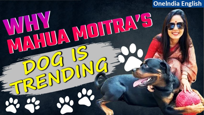 Mahua Moitra’s Dog Custody Battle: Ex-Partner Alleges She Kidnapped Henry, Files Complaint With ...