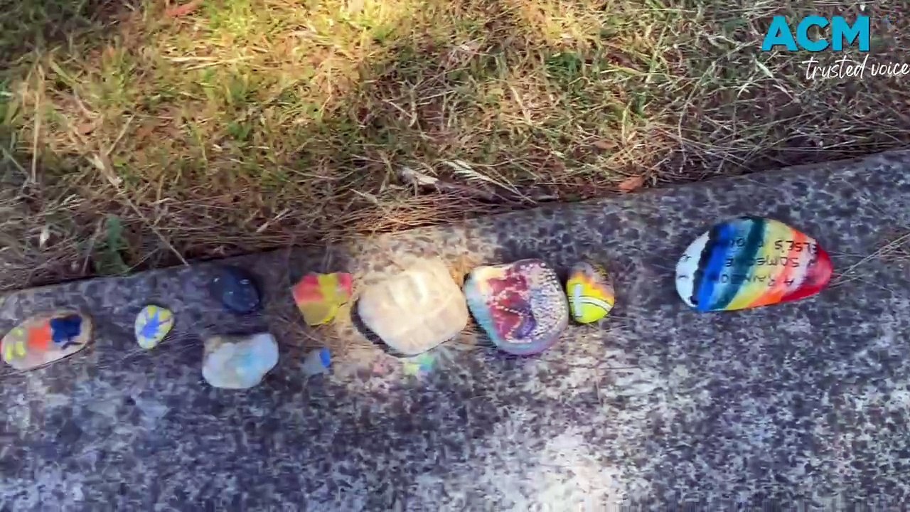 Pebble snake at Cordeaux Heights | October 20, 2023 | Illawarra Mercury ...