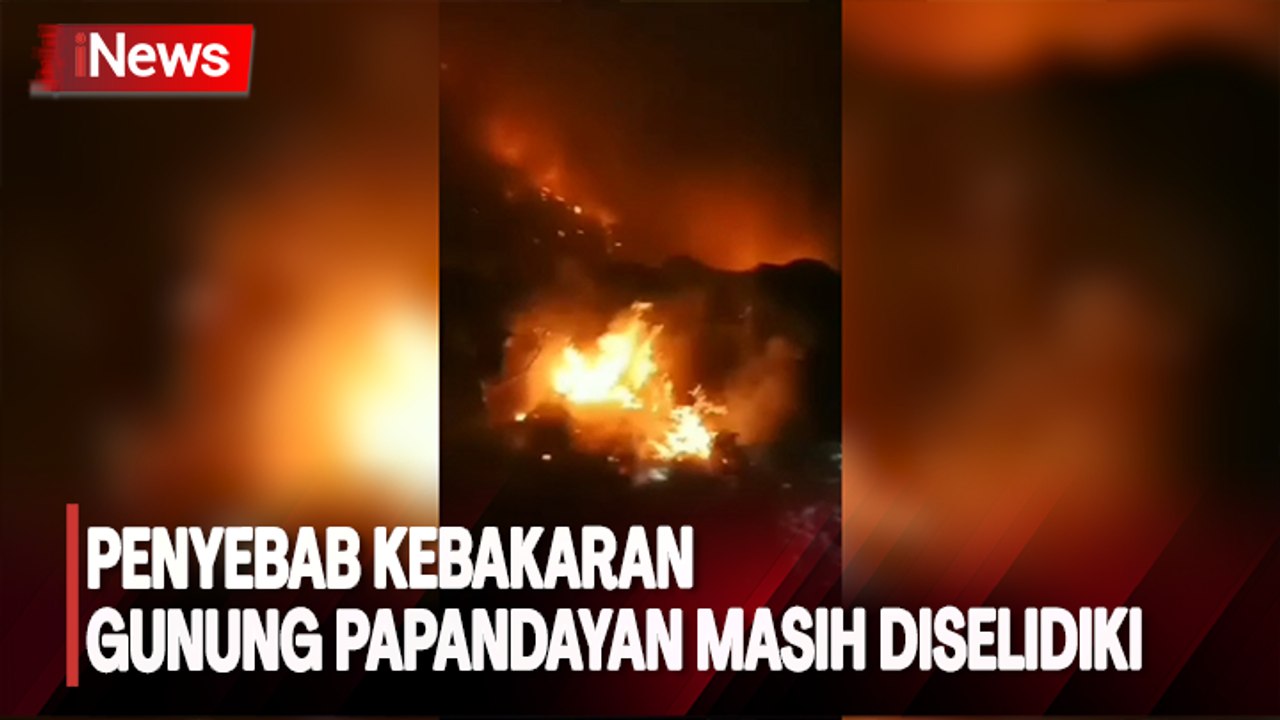 Hutan di Gunung Papandayan Terbakar, Penyebab Kebakaran masih Diselidiki - Video Dailymotion