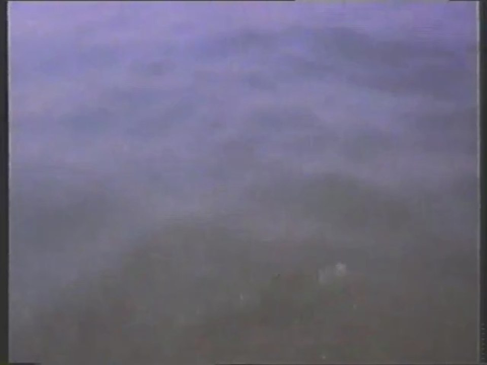 Terminator 2 - Shocking dark - 1989 (regia di Bruno M (1) - video ...