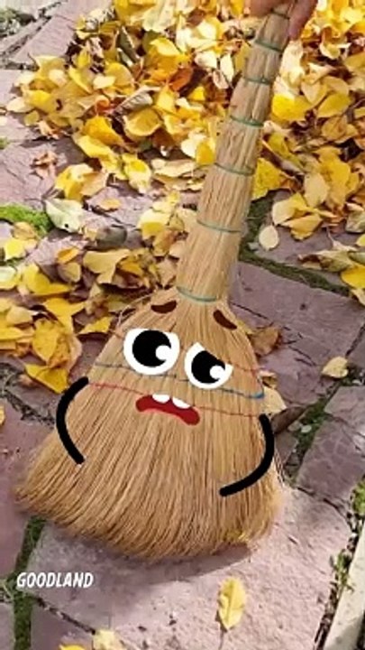 Goodland___The_broom_is_resting_%E2%98%BA%EF%B8%8F_%23goodland ...