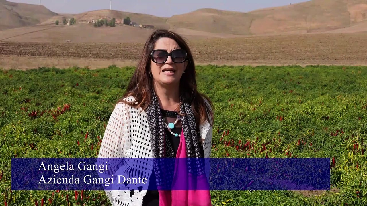 Le erbe aromatiche delle Madonie pronte a sbarcare negli Usa - Video ...