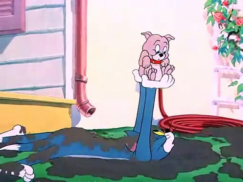 Tom and Jerry, 60 Episode - Slicked-up Pup (1951) (2) - video Dailymotion