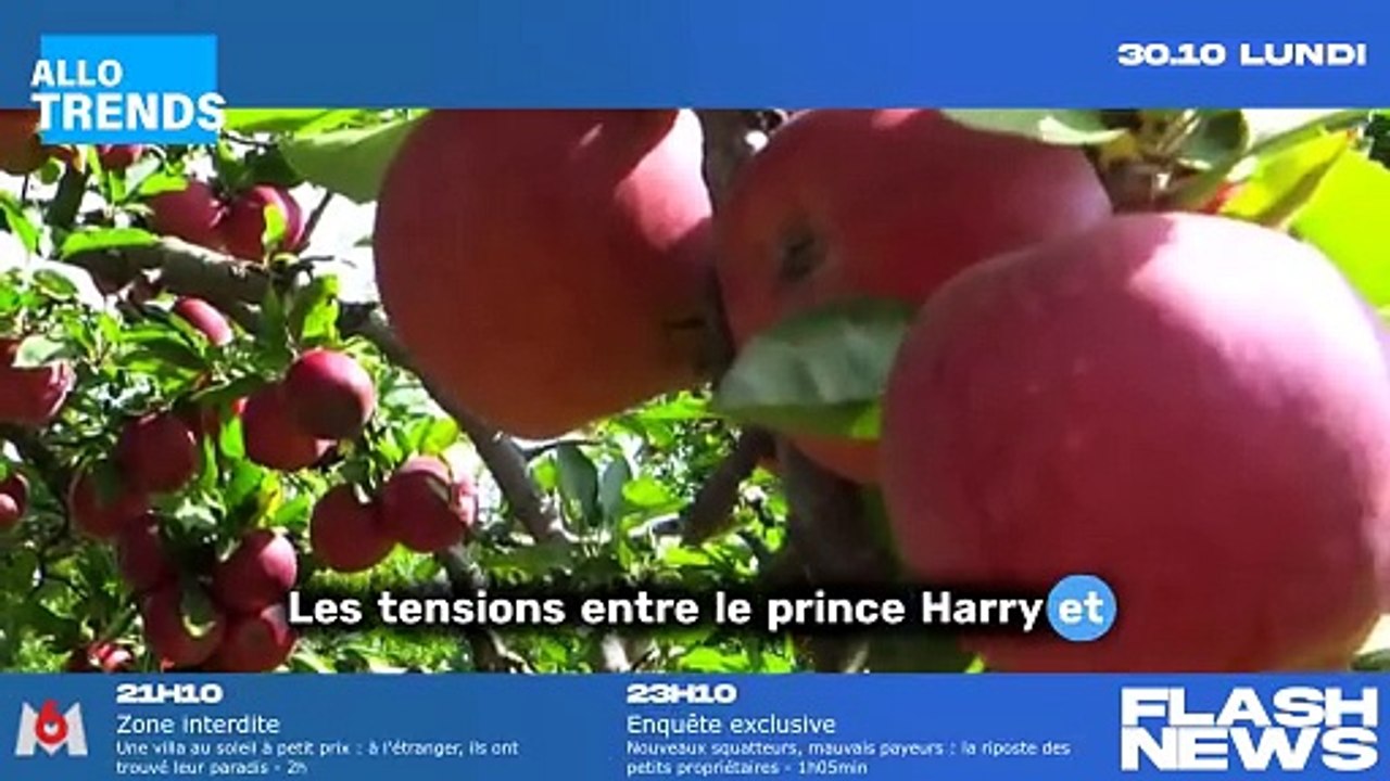 Le Prince Charles exclut Meghan Markle de l'invitation d'anniversaire ...