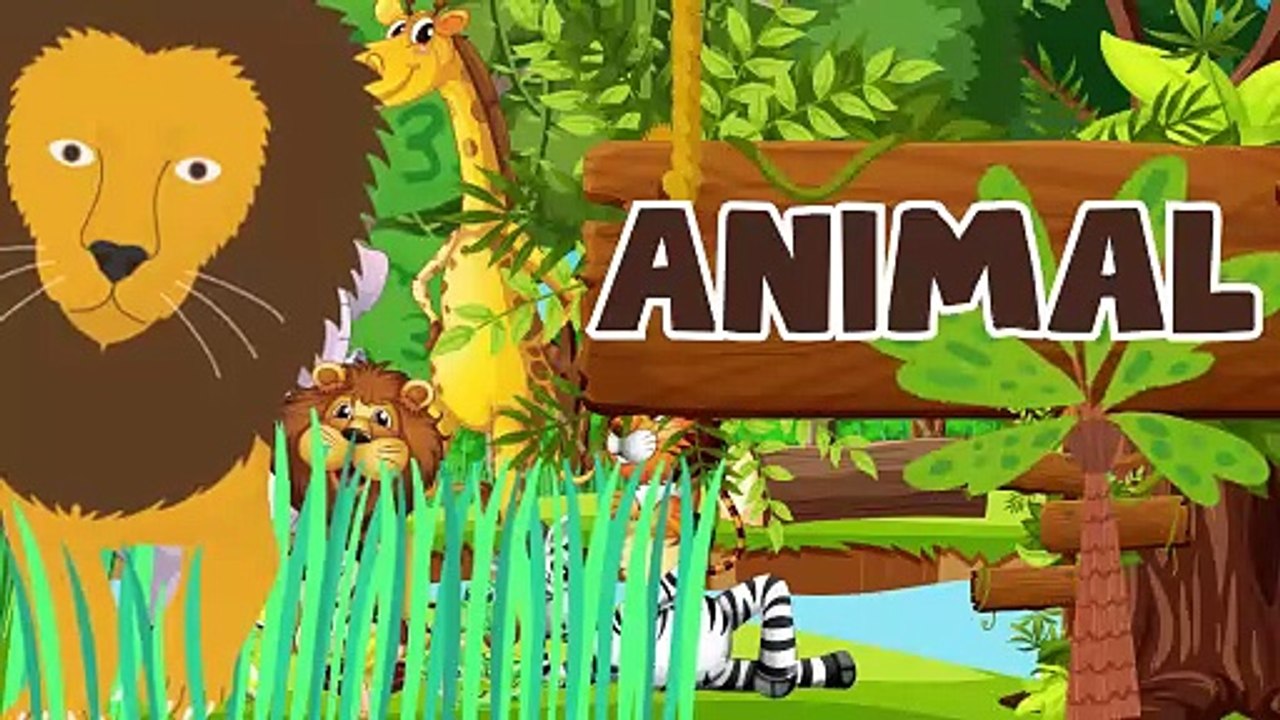 Learning about animals for preschoolers - Learn animal for toddlers ...