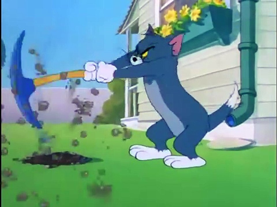 Tom and Jerry - Safety Second Compilation - video Dailymotion