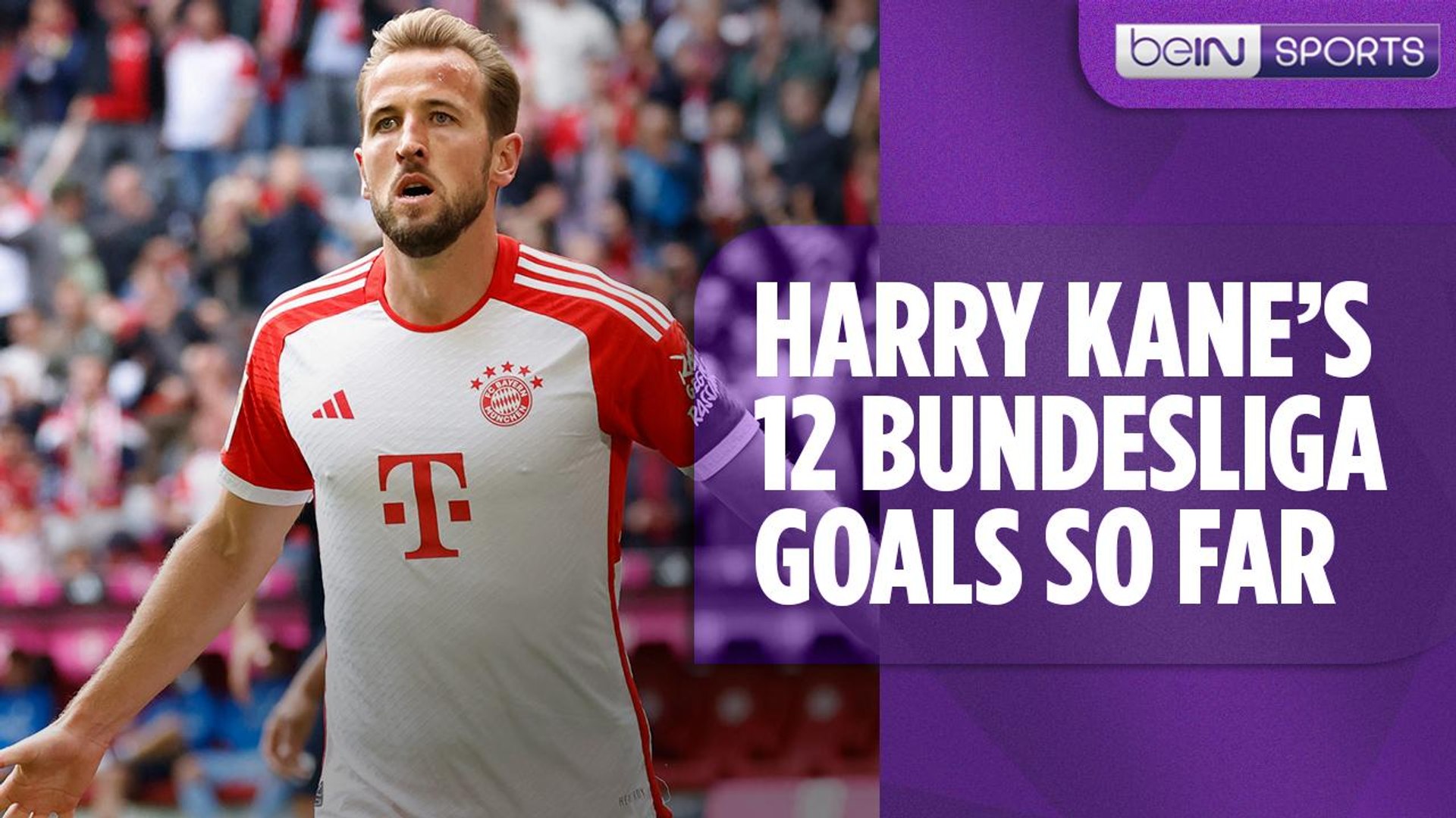 Every Harry Kane Bundesliga goal so far for Bayern Munich | beIN SPORTS
