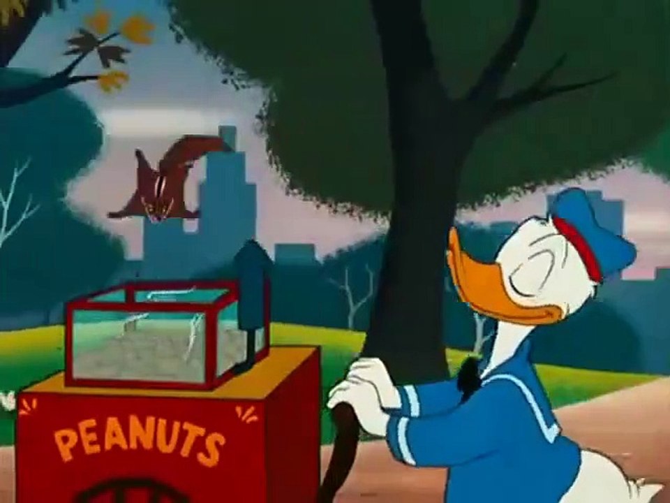 Donald Duck - The Flying Squirrel Donald Duck Cartoons - video Dailymotion