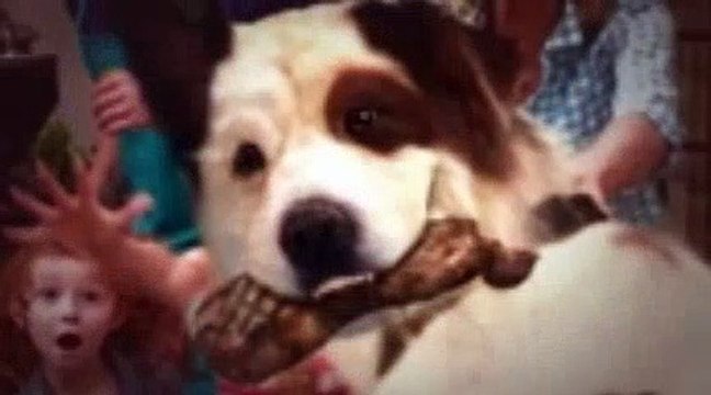 The Addams Family videos - Dailymotion