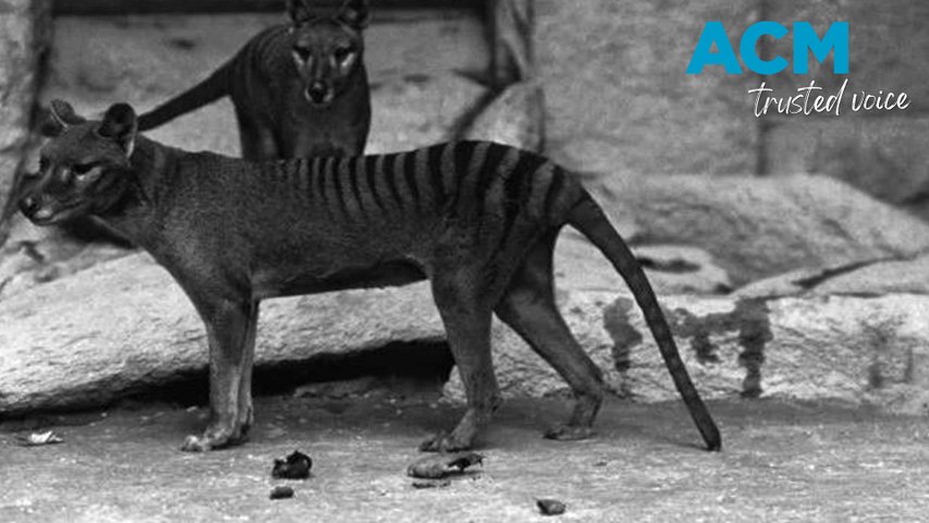 Scandinavian scientists a step closer to resurrecting the extinct ...