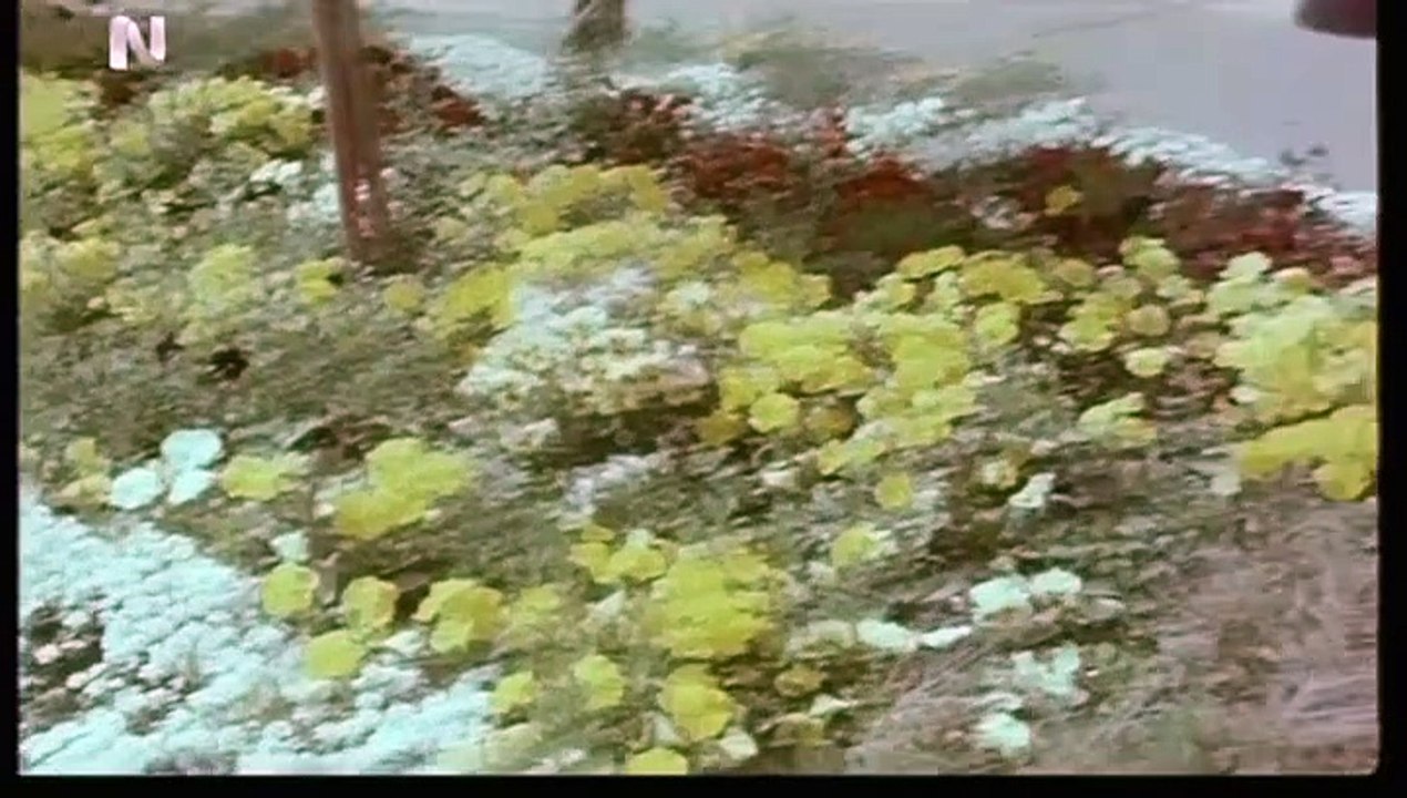 ΤΟ ΧΑΜΟΓΕΛΟ ΤΗΣ ΠΥΘΙΑΣ - 1979 - TVRip - 720x392 - video Dailymotion