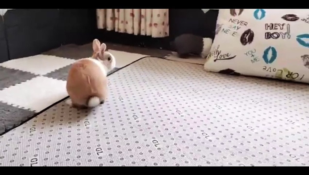 Oiled and Spoiled at the Garage - Bella Rolland, Taylor Gunner - video ...