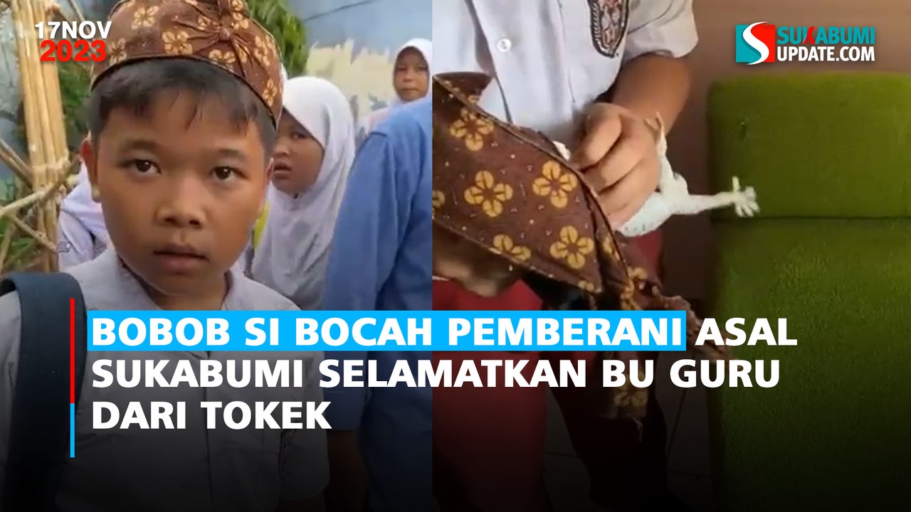 Bobob si Bocah Pemberani Asal Sukabumi Selamatkan Bu Guru dari Tokek ...