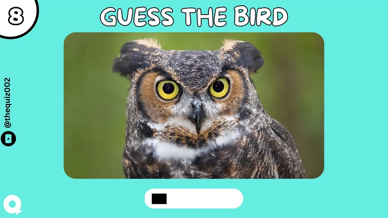 Guess The Birds Quiz | Bird Quiz - video Dailymotion