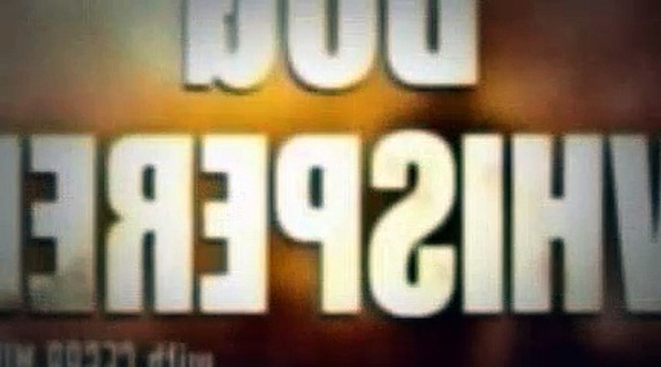 The Dog Whisperer Season 2 Episode 2 Sonny, Chocolate And Cinnamon, And ...