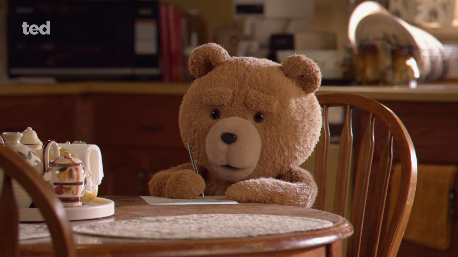 Ted The Bear Wallpaper