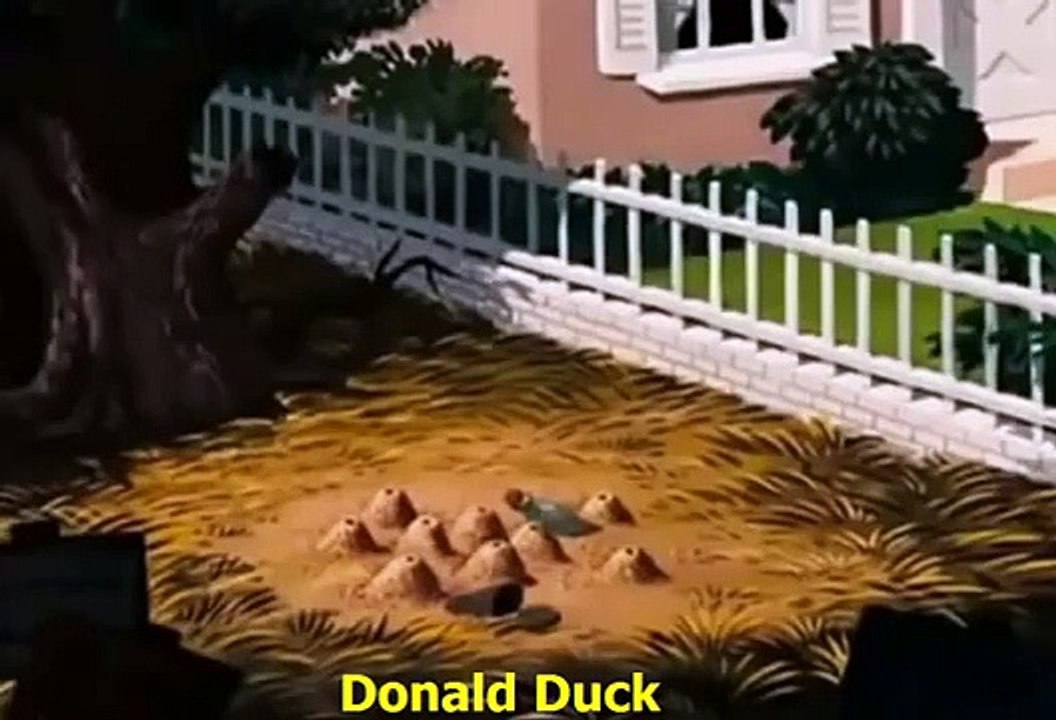 Donald Duck Uncle Donalds Ants Classic Cartoon - video Dailymotion