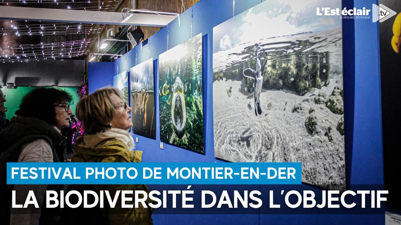 La biodiversité dans l’objectif du Festival photo de Montier-en-Der ...