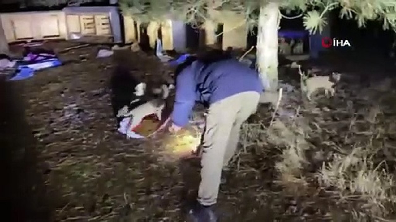 Gölet kenarındaki üşüyen yavru köpekleri beslediler - Dailymotion Video