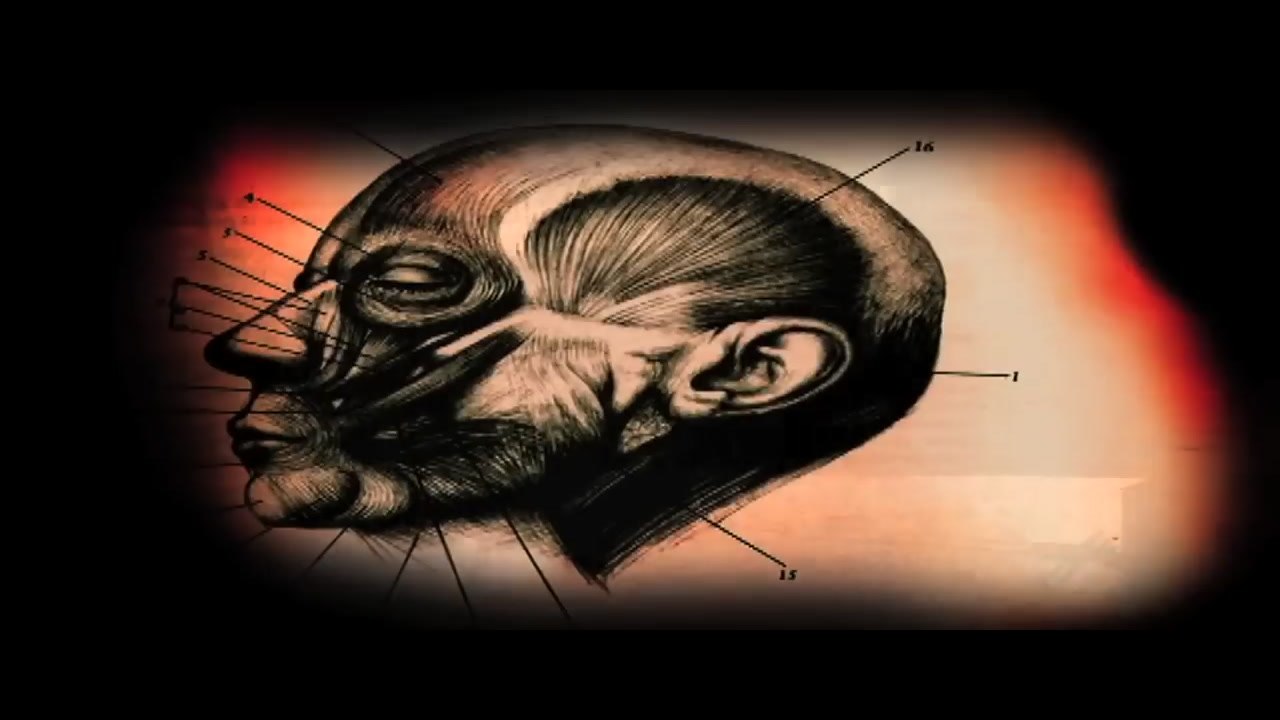 After The Burial - Your Troubles Will Cease And Fortune Will Smile Upon You - video Dailymotion