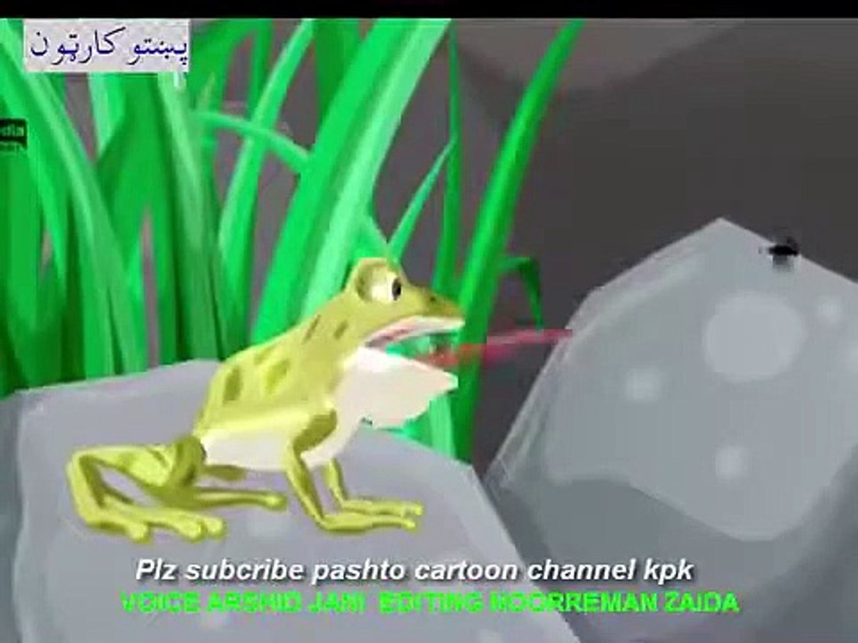 PASHTO CARTOON TAPUS AWO MAGA PASHTO CARTOON CARTOON CHILDREN STORY ...