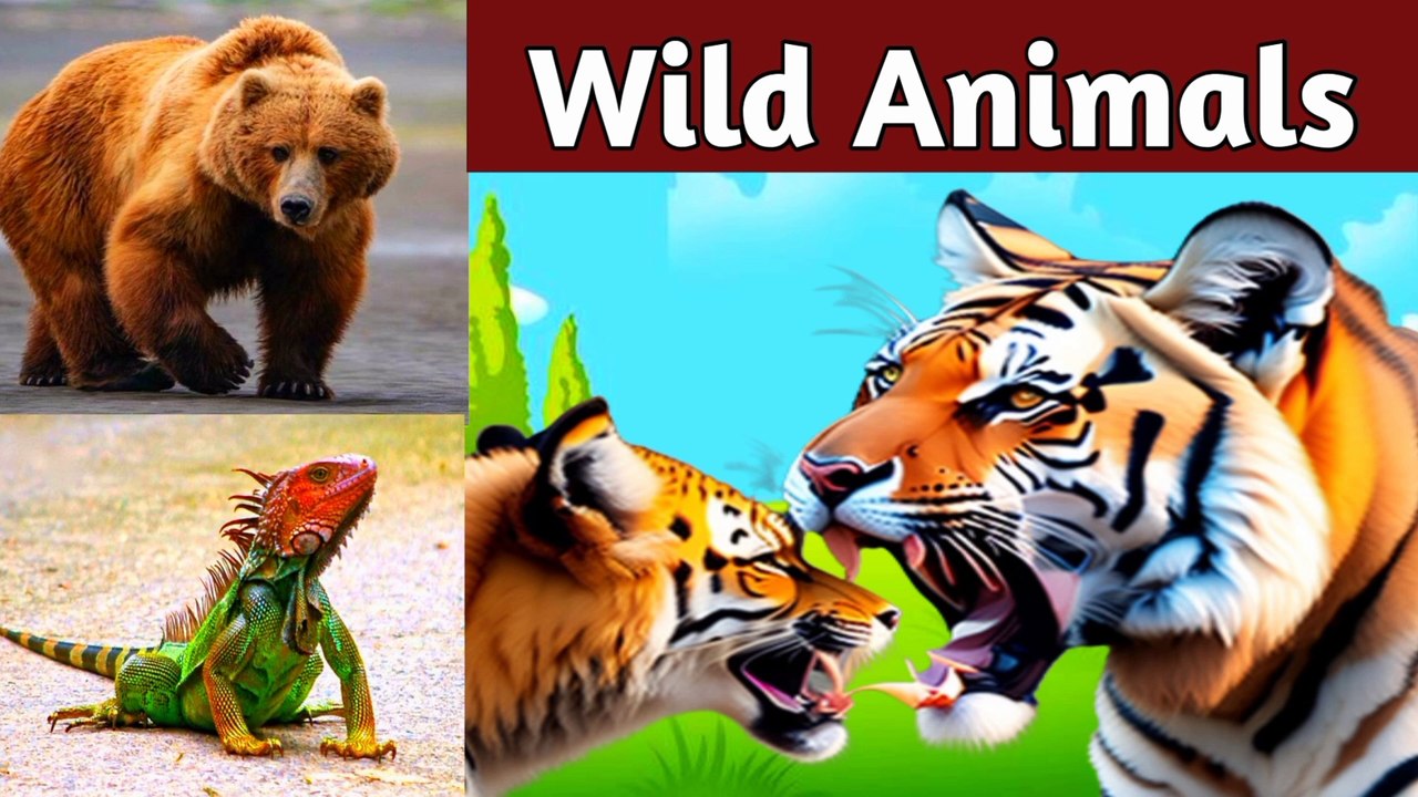 Nature and wild life video | Animals name in english | Kids education ...