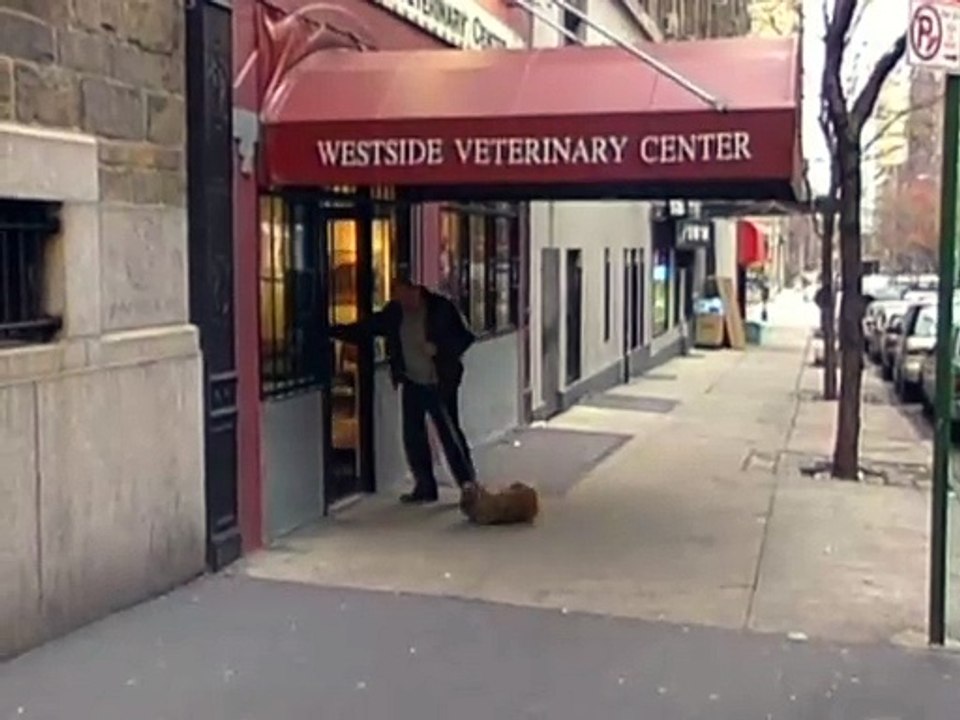 Jim Henson Dogs Xexuson - Real Life Dog Segment - Dogs at Vet Doctor ...