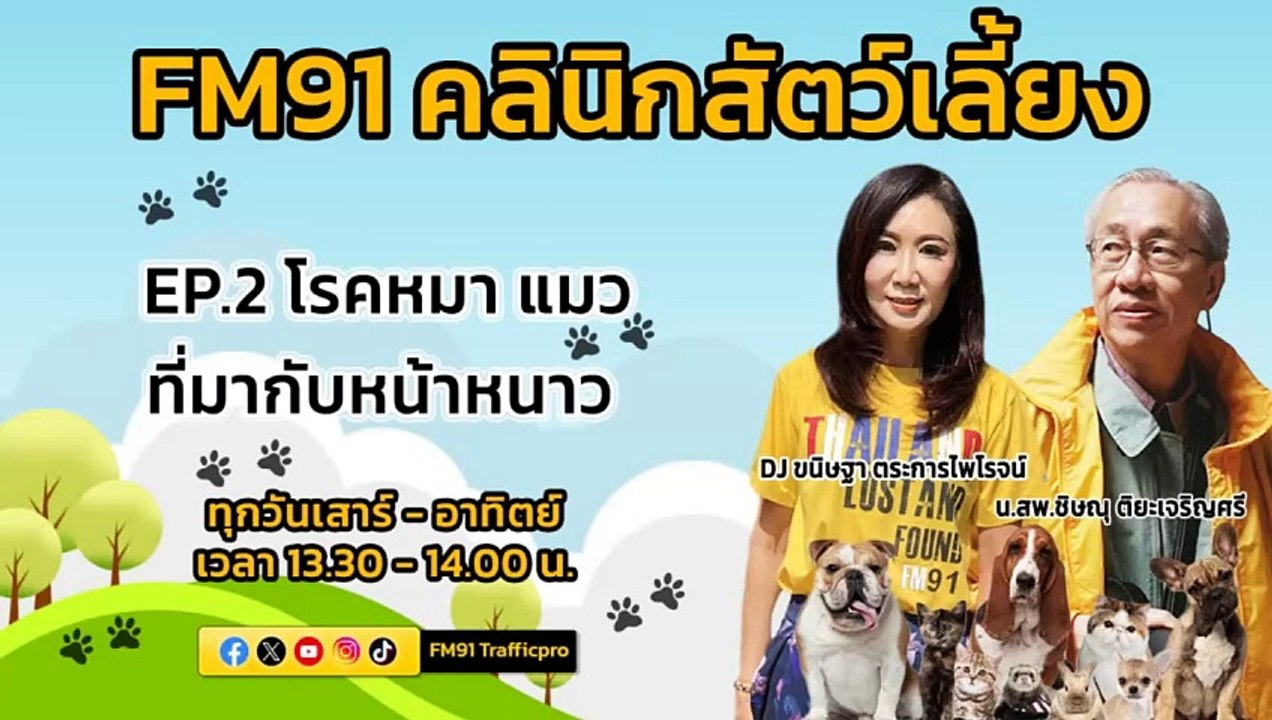 โรคหมาแมวที่มากับหน้าหนาว EP.2 : FM91 คลินิกสัตว์เลี้ยง : 26 พฤศจิกายน 2566 - video Dailymotion