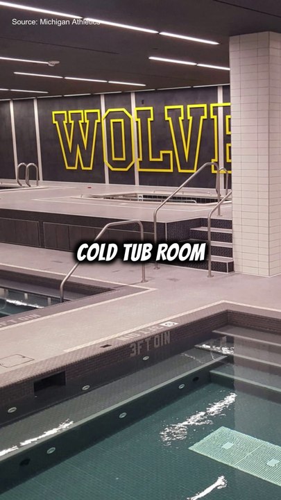 Blake Corum Shares an Unforgettable Training Moment - video Dailymotion