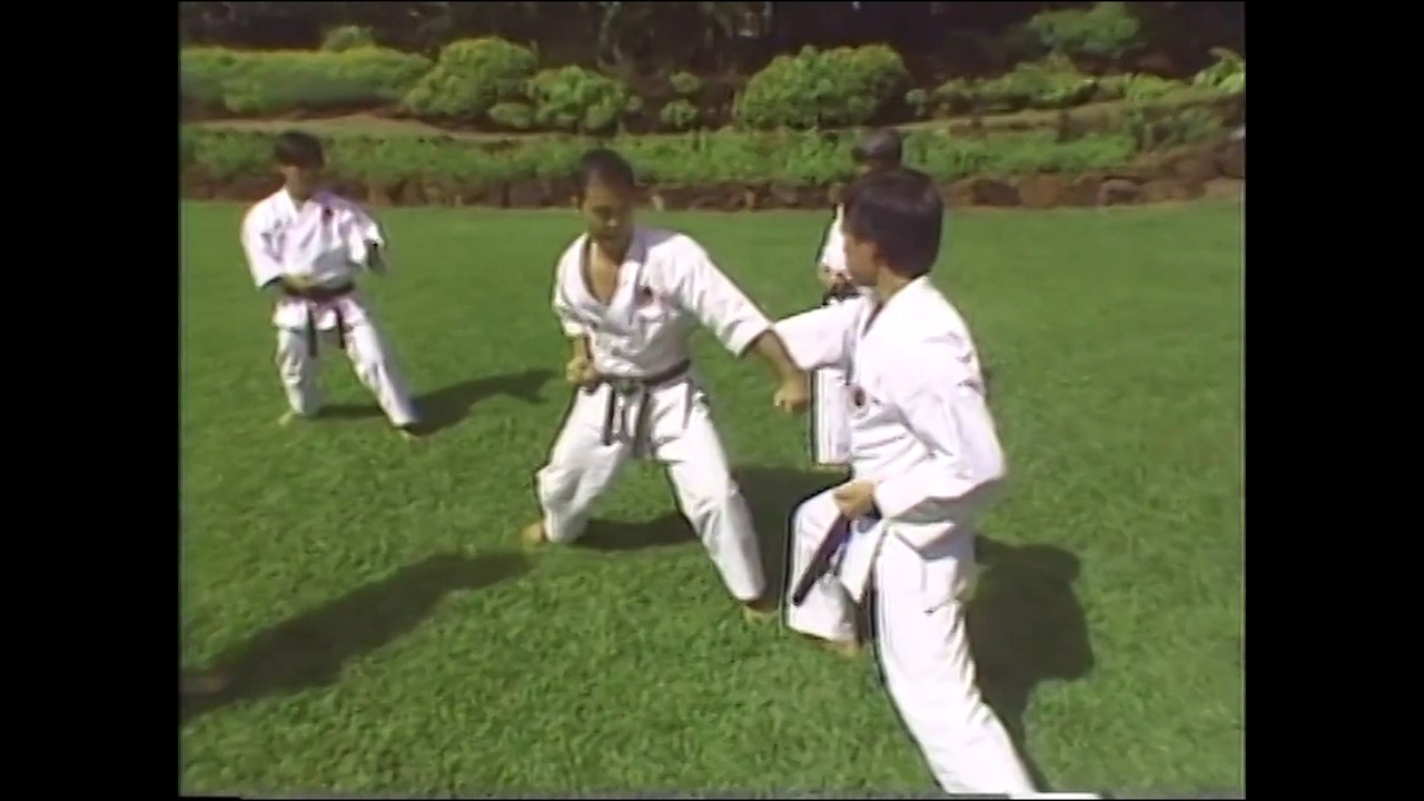 Kenneth Funakoshi - Shotokan Karate Volume 4: Katas 3 - video Dailymotion