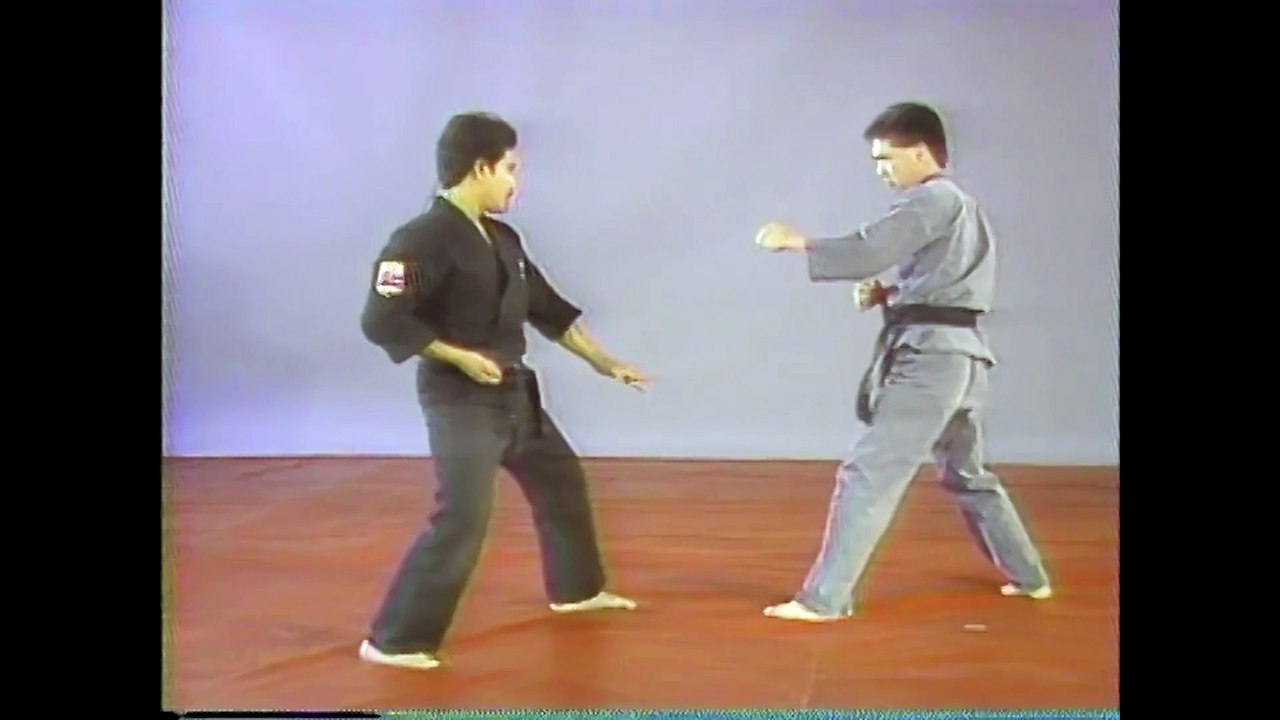 Mastering Lima Lama -Volume 1: Fundamental Lima Lama Techniques with ...